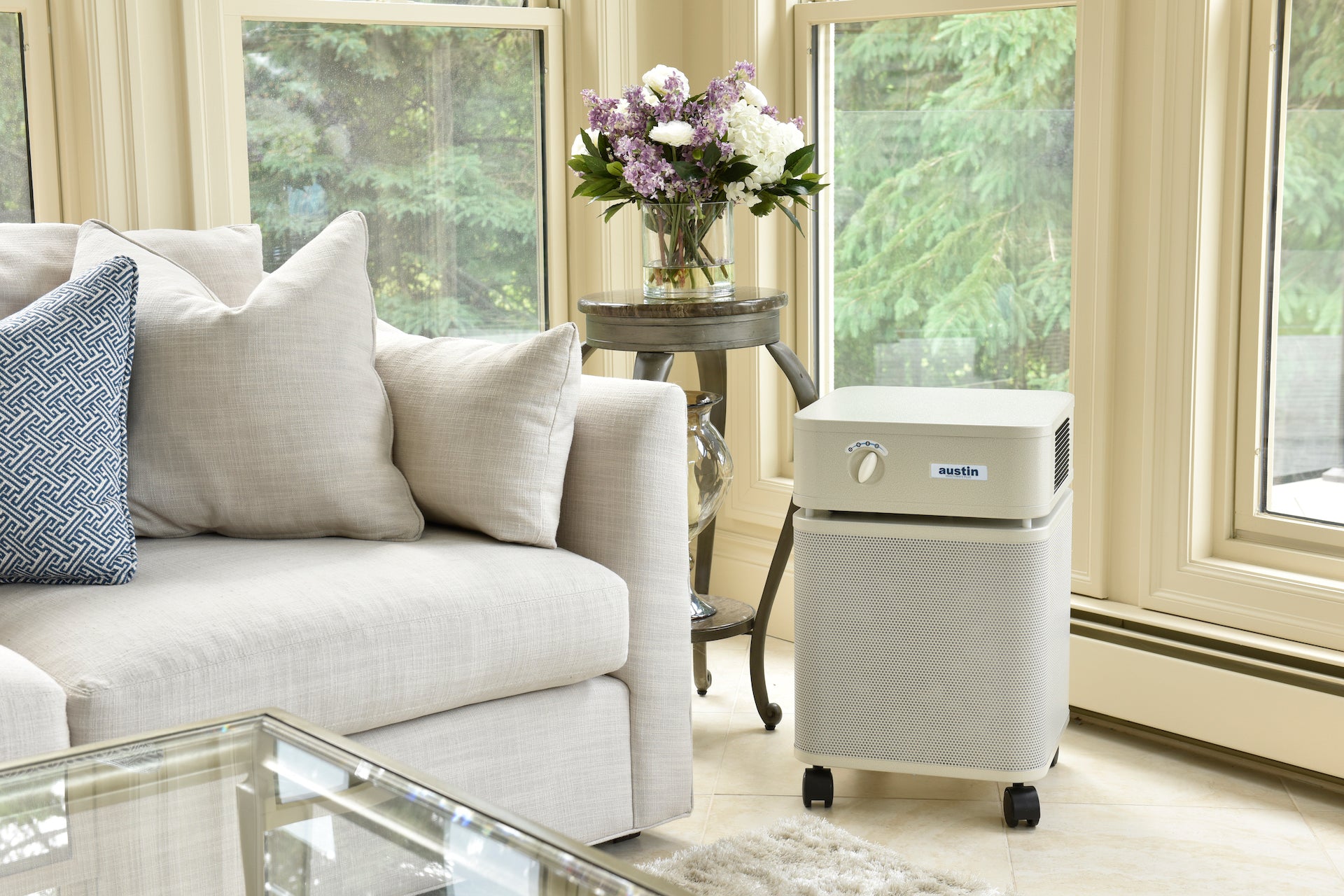 Austin air purifier healthmate plus store